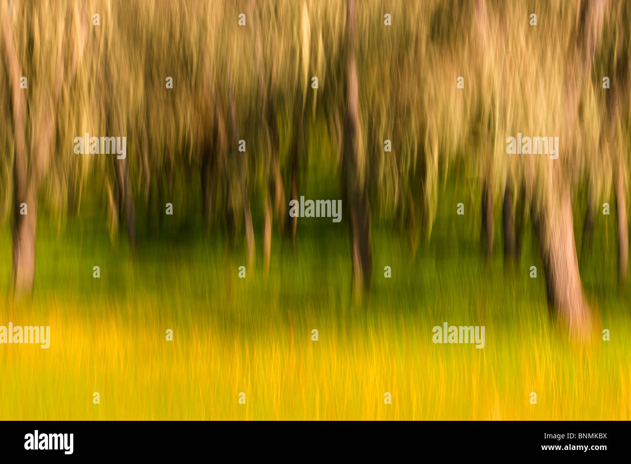 Rural California Spring scenes Stock Photo - Alamy