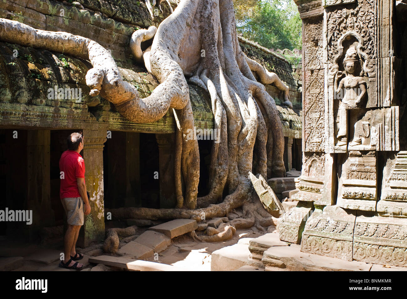 Cambodia Far East Asia temple religion Ta Prohm temple root spread ...