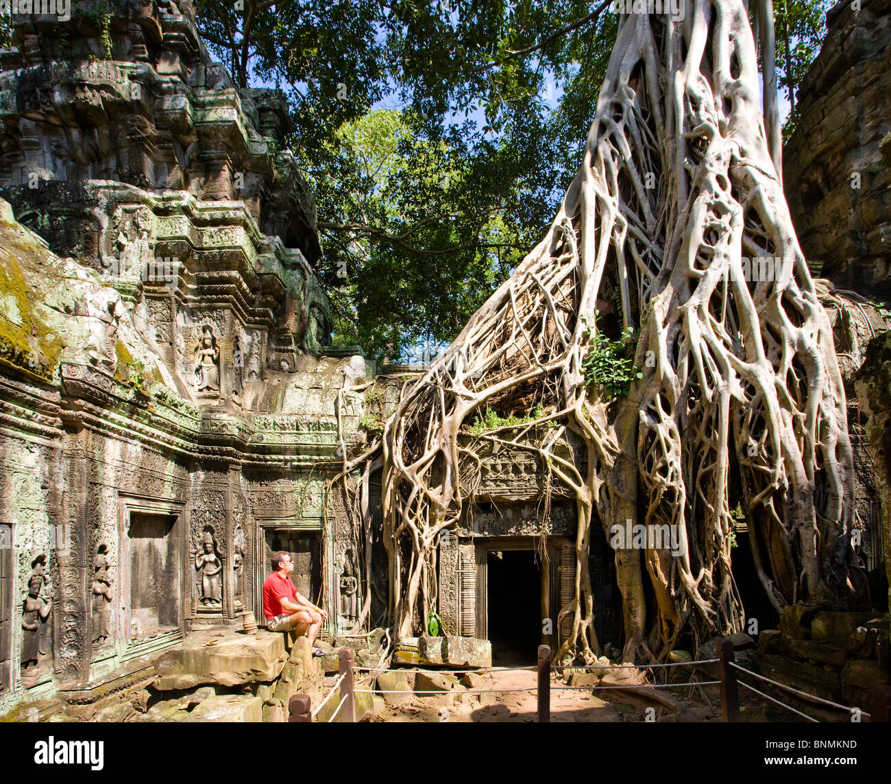 Cambodia Far East Asia temple religion Ta Prohm temple root spread ...