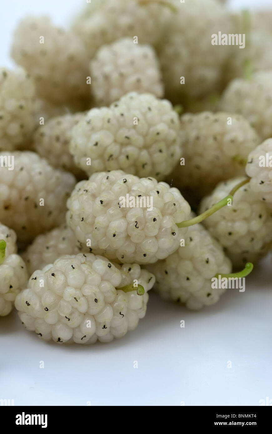 Mulberry hi-res stock photography and images - Alamy