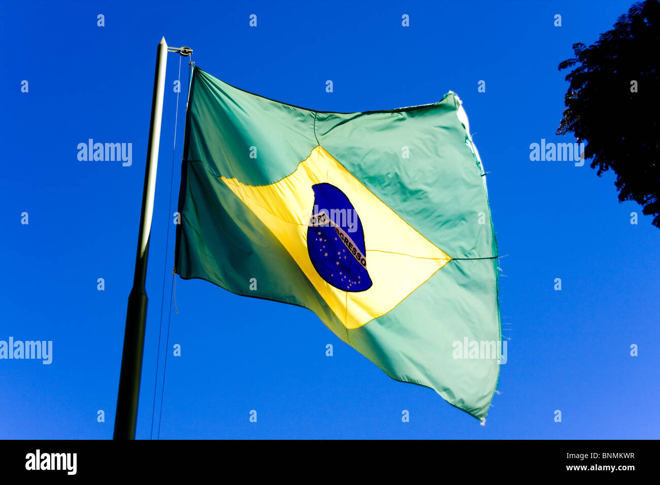 Blue brazilian flag hi-res stock photography and images - Alamy