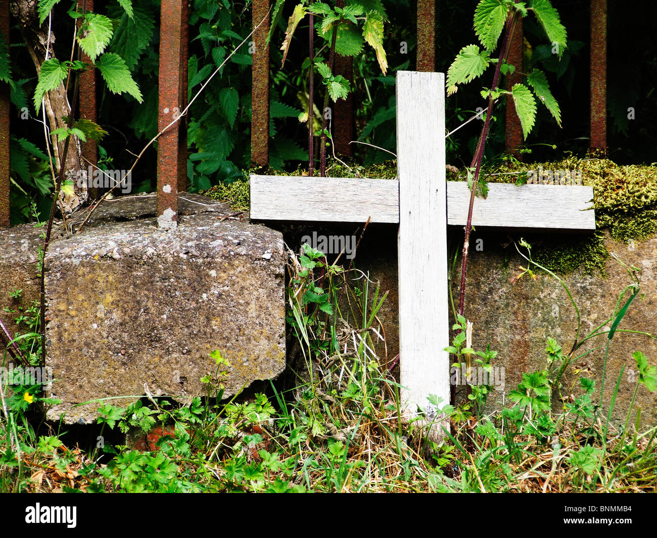 gravestones lit by the sun in a country cemetery Stock Photo - Alamy