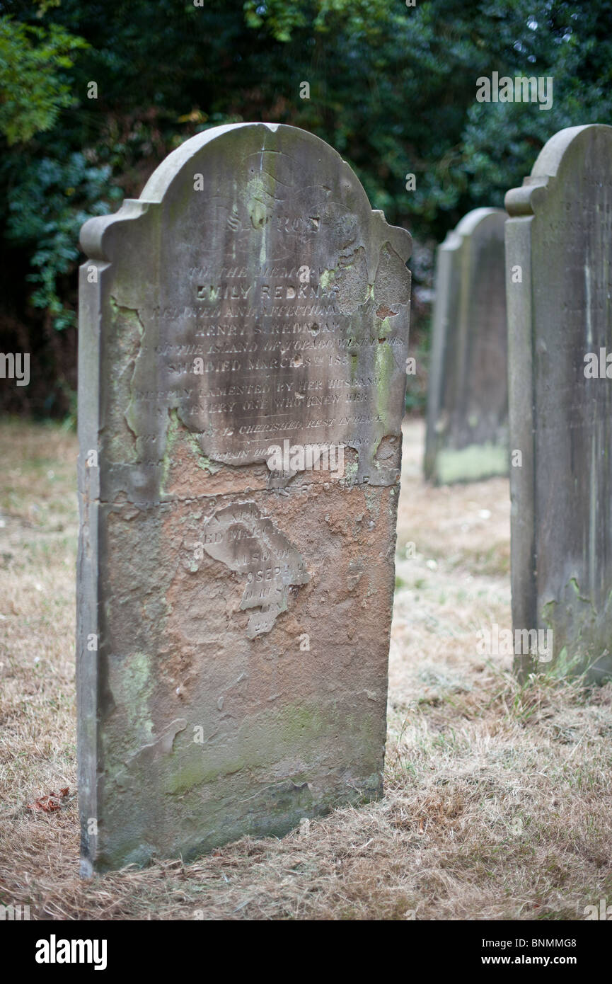 Overgrown old gravestones at Oak Lane Cemetery Twickenham, Middlesex ...
