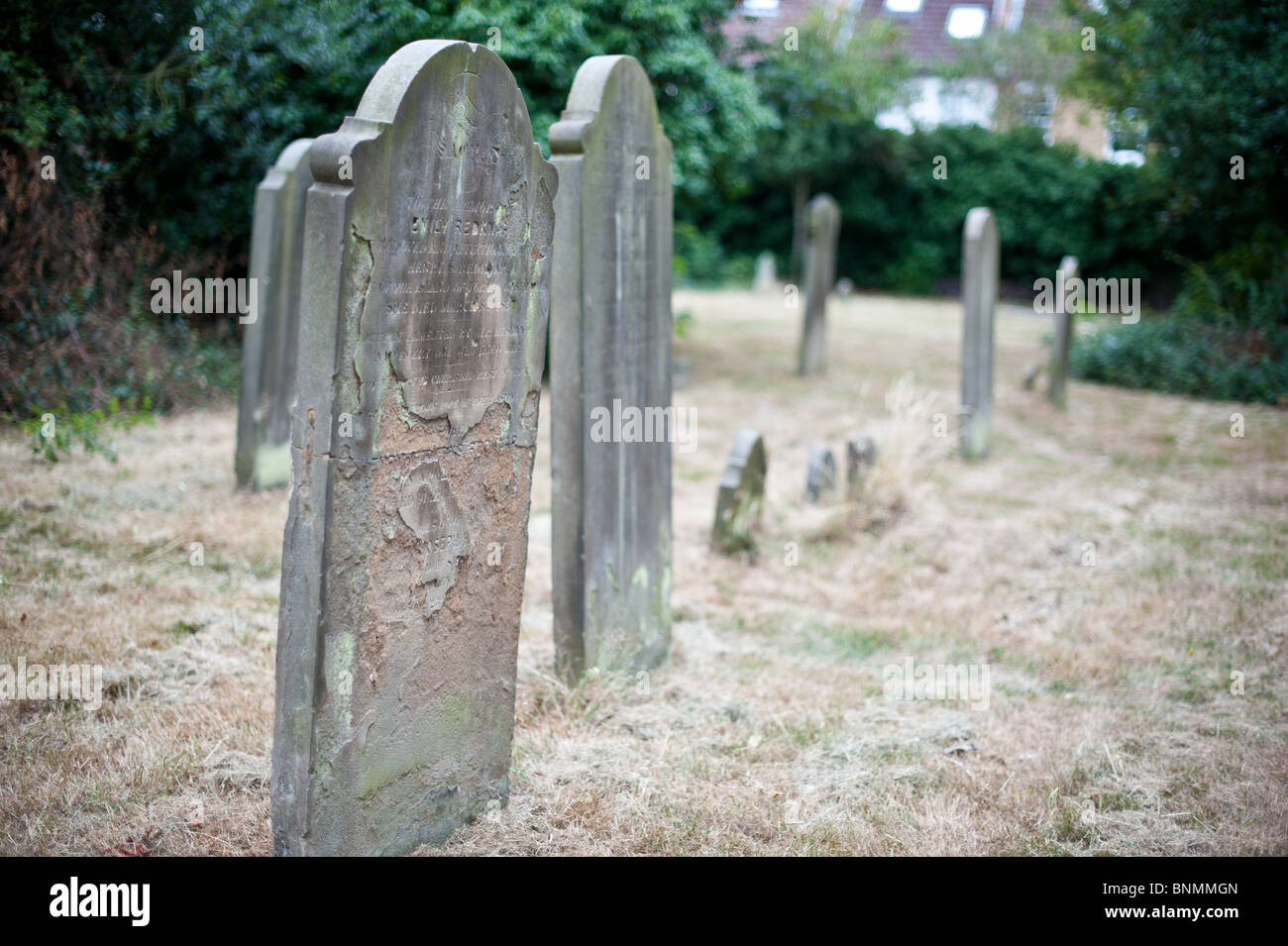 Overgrown old gravestones at Oak Lane Cemetery Twickenham, Middlesex ...