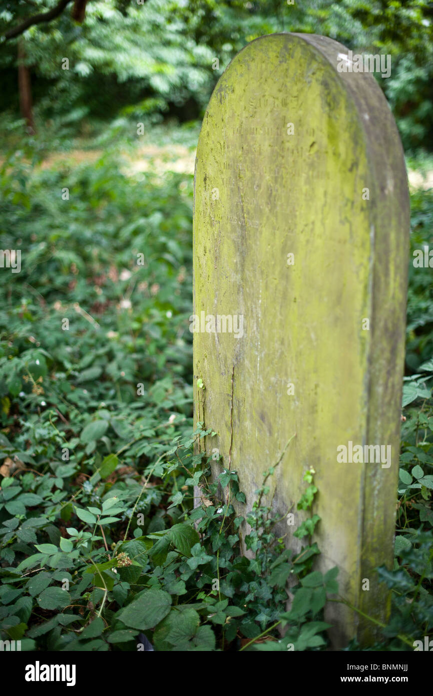 Overgrown old gravestones at Oak Lane Cemetery Twickenham, Middlesex ...