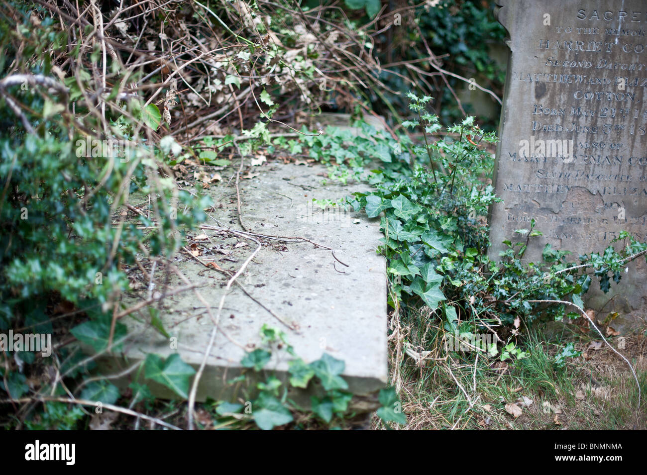 Gravestones overgrown cemetery hi-res stock photography and images - Alamy