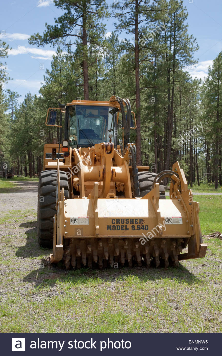 Cat Caterpillar High Resolution Stock Photography and Images - Alamy