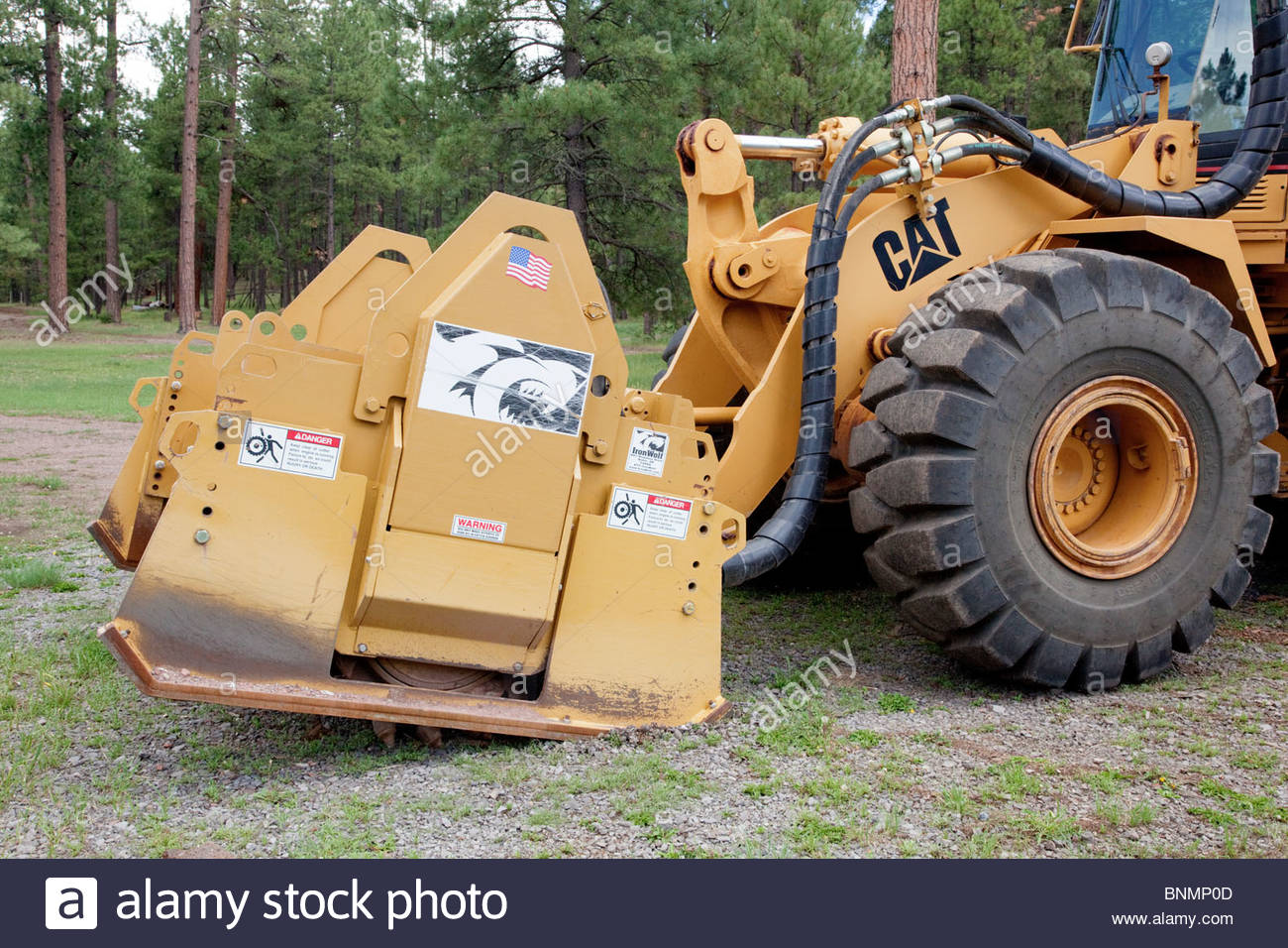Cat Caterpillar High Resolution Stock Photography and Images - Alamy
