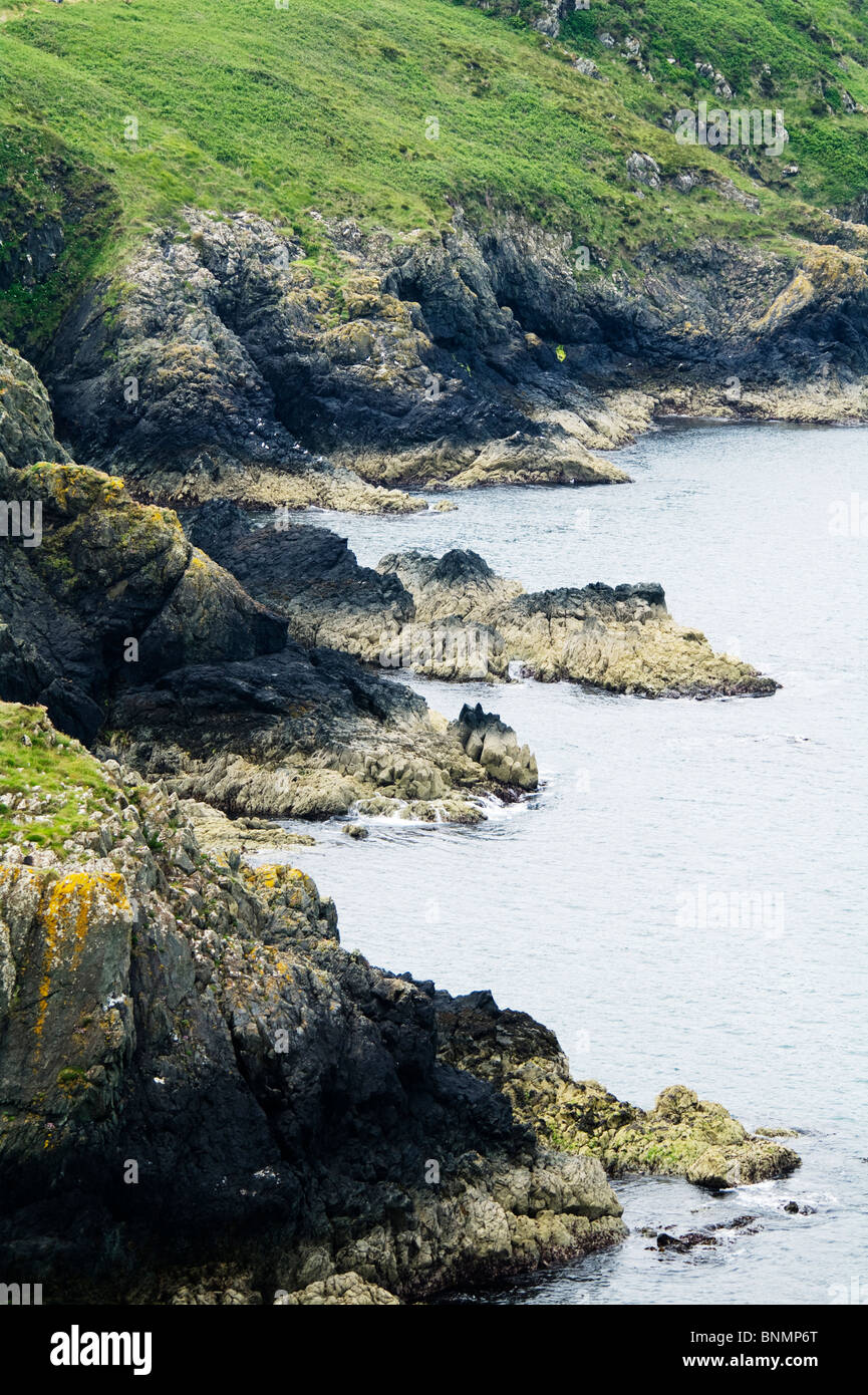 the pembrokeshire coast national park at strumble head dyfed wales ...