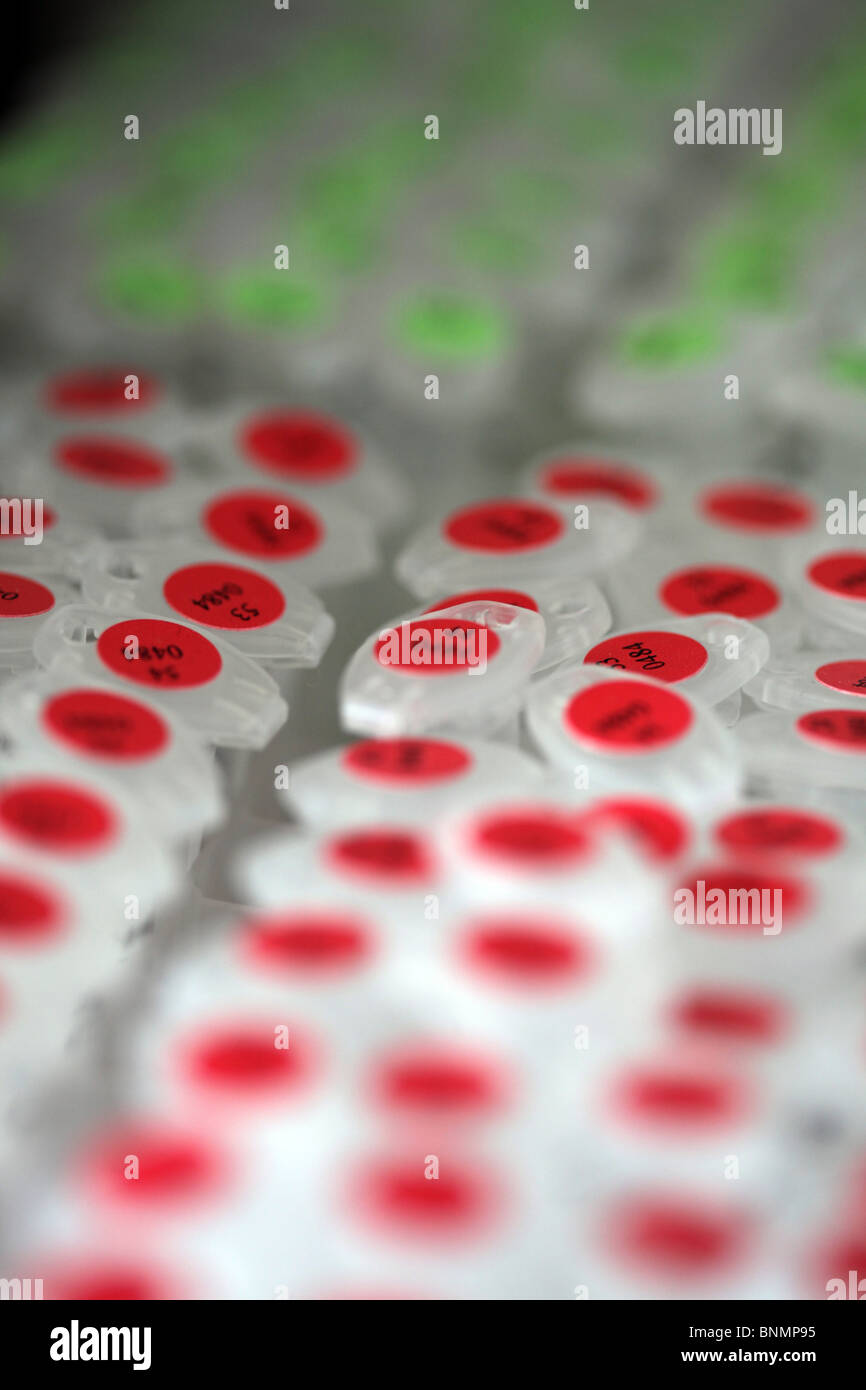 Array of scientific sample tubes Stock Photo - Alamy