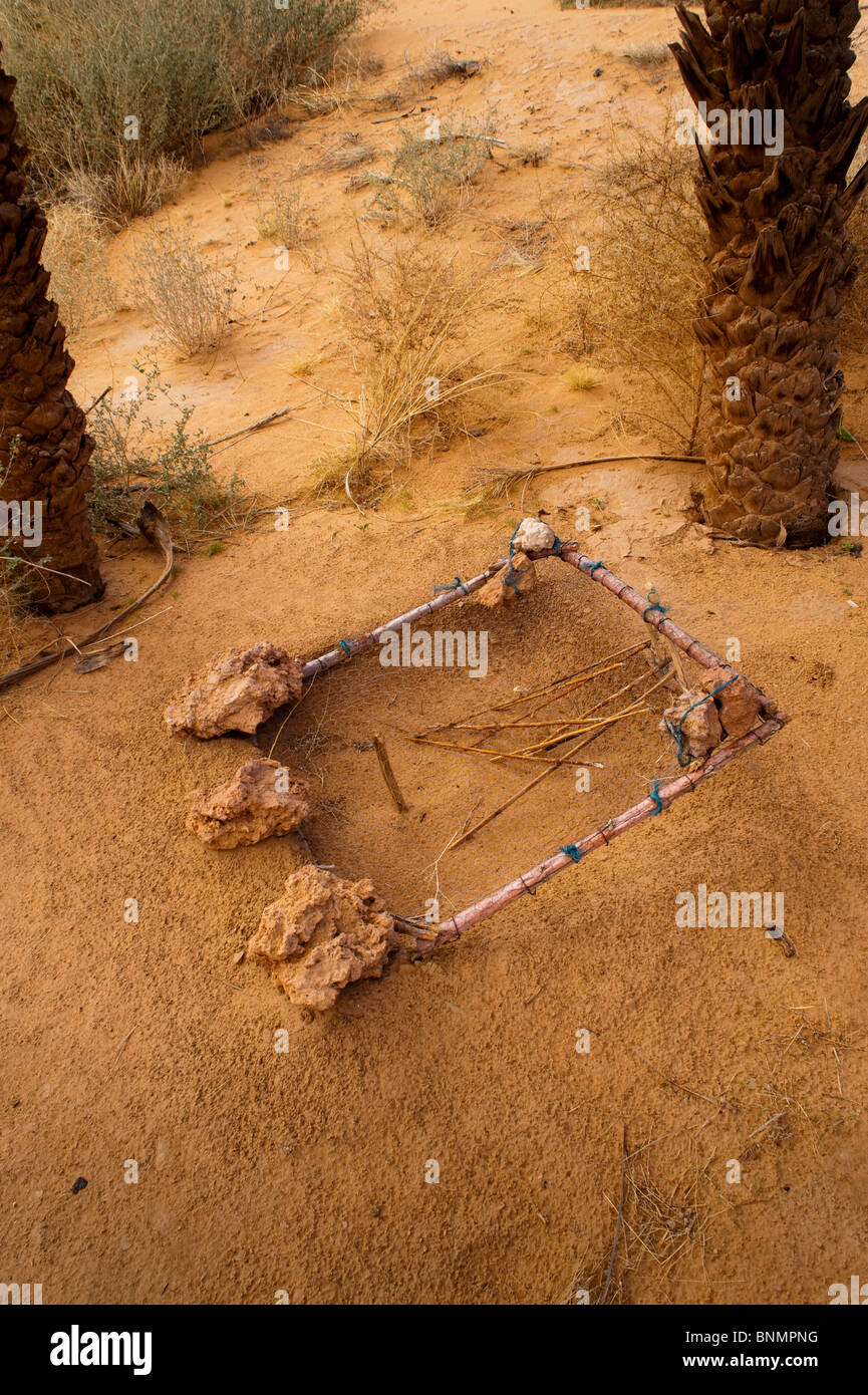 Desert africa trap hi-res stock photography and images - Alamy