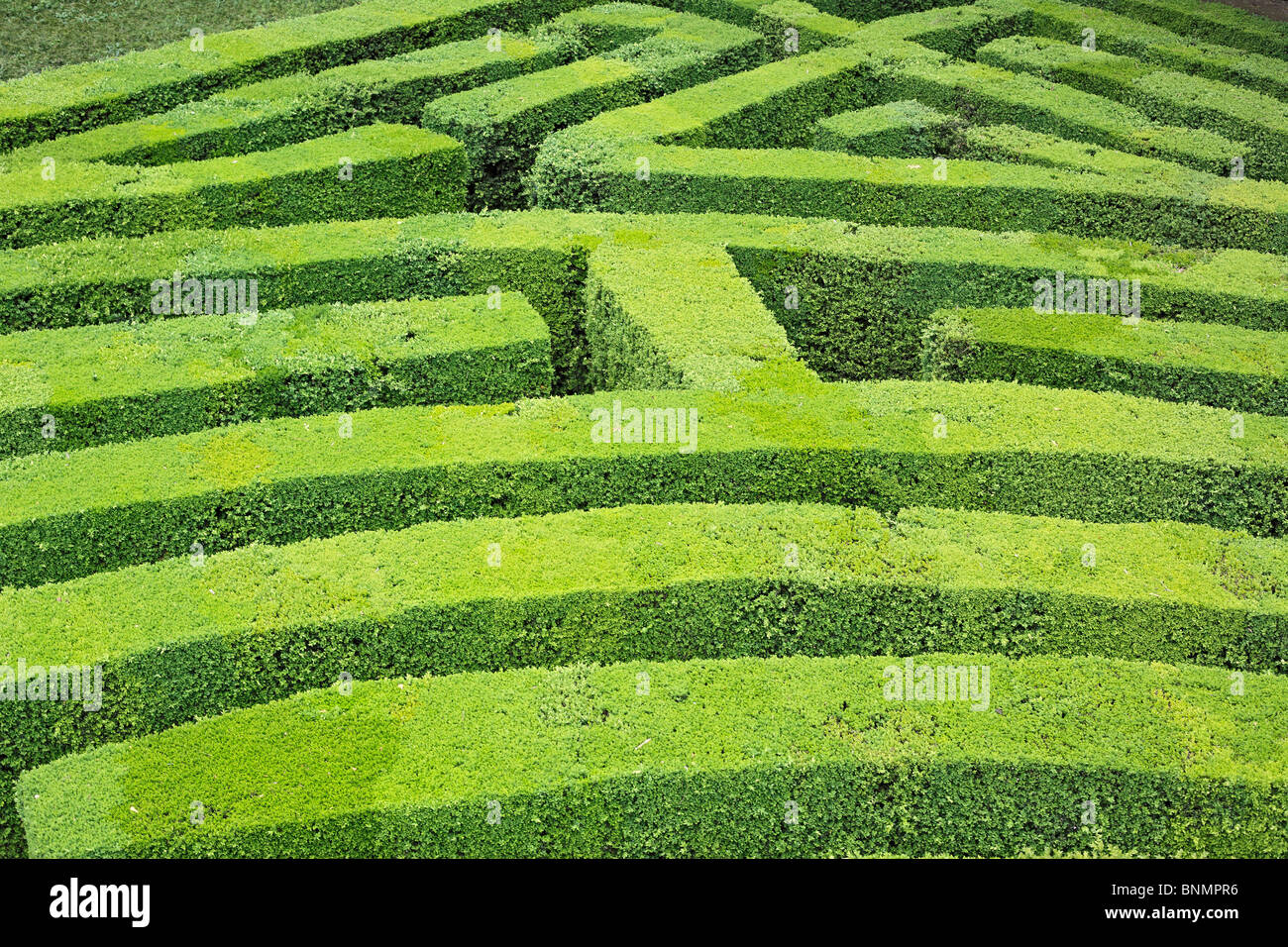 Italian Maze