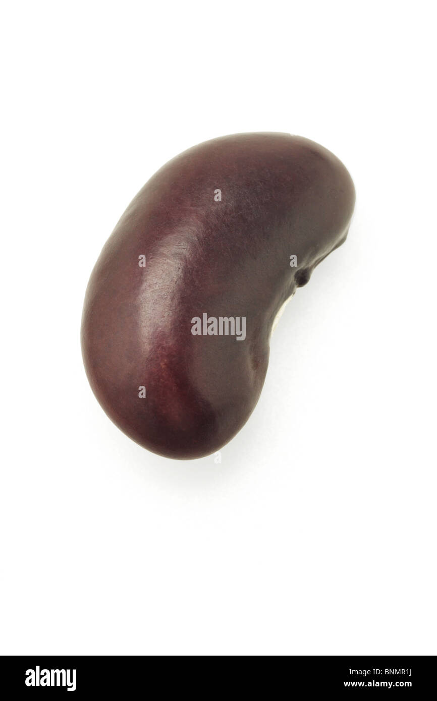 Single Kidney Bean