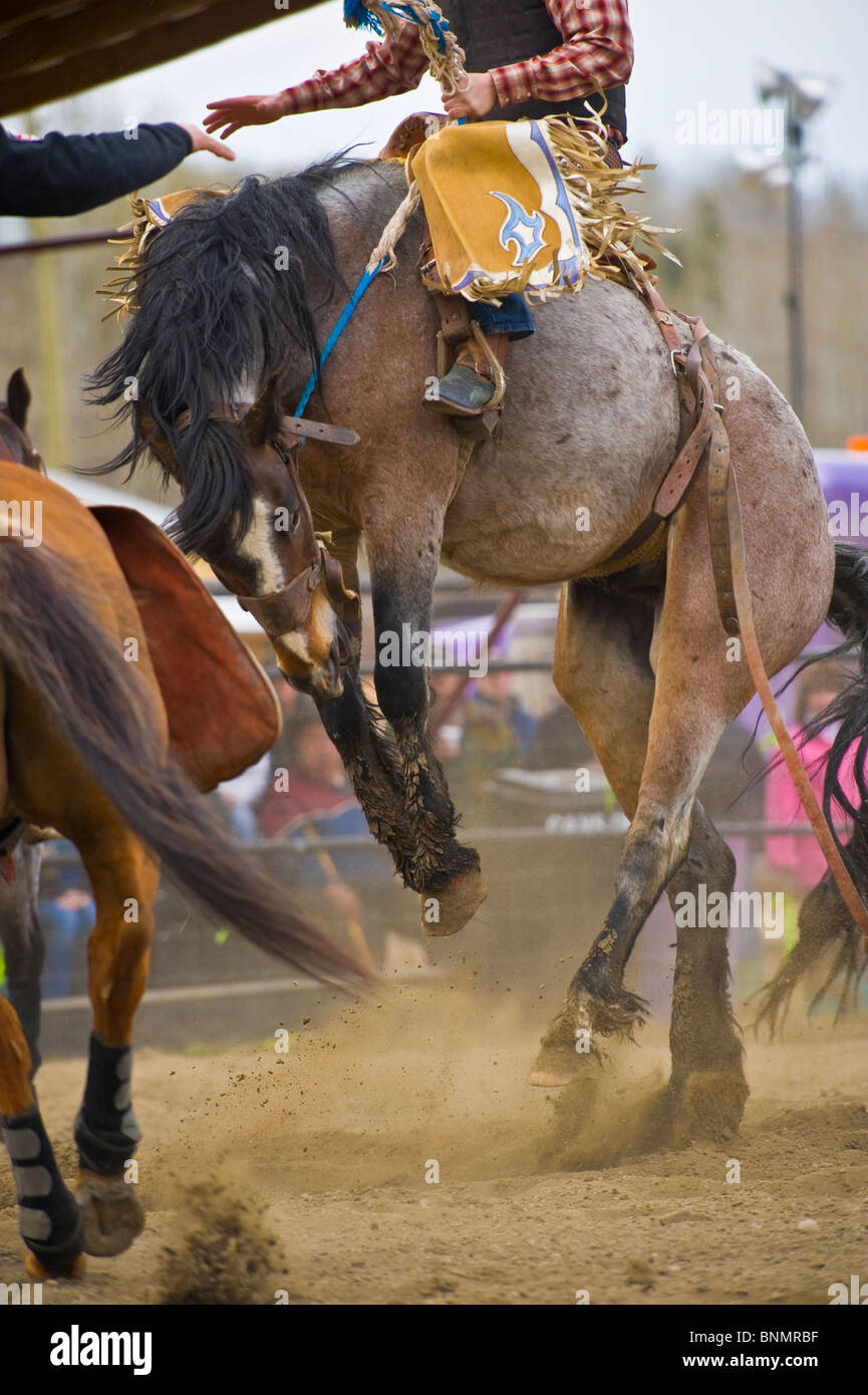Competitive rodeo hi-res stock photography and images - Alamy