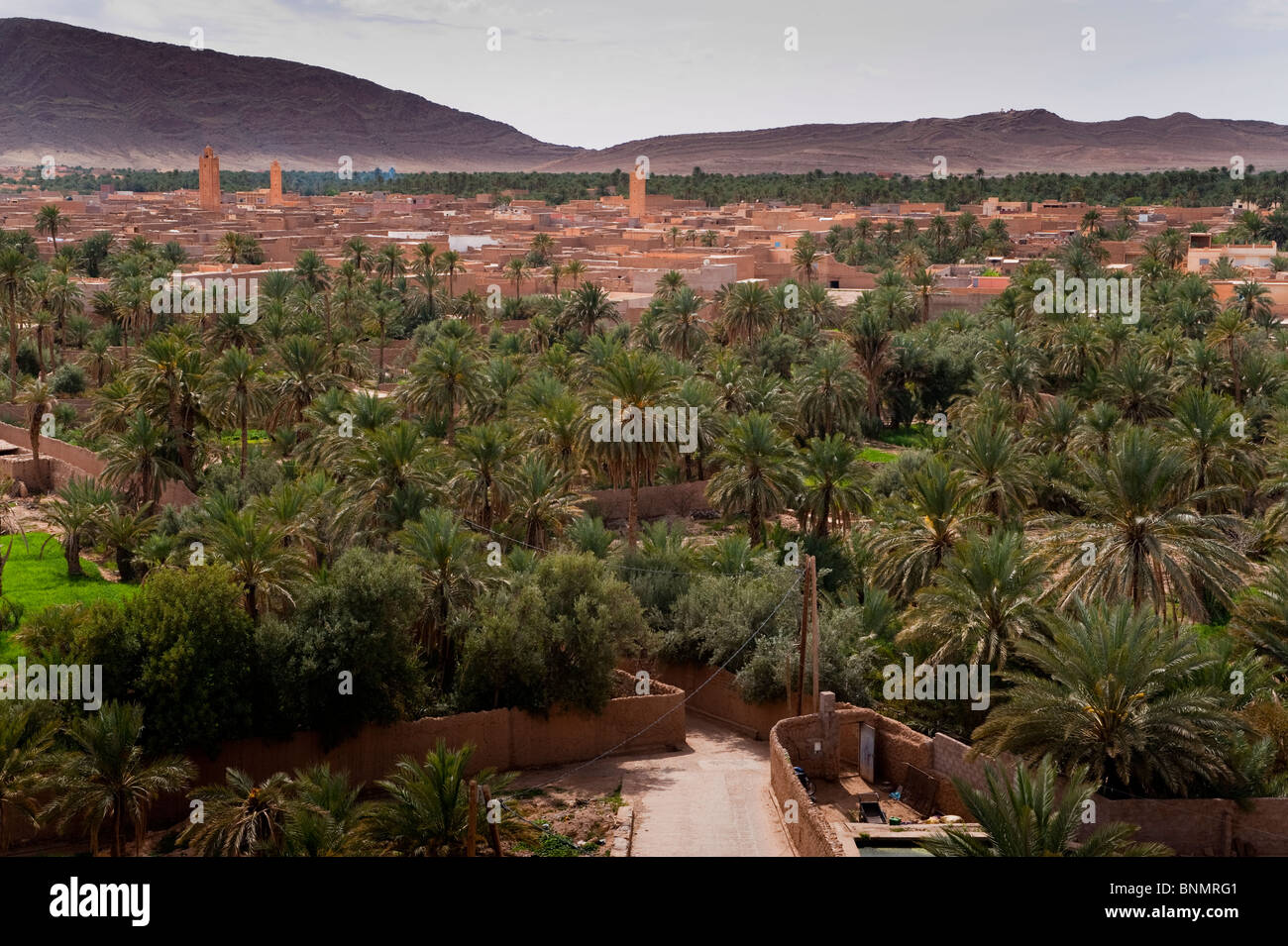 Figuig Morocco Oriental Stock Photos & Figuig Morocco Oriental Stock Images - Alamy