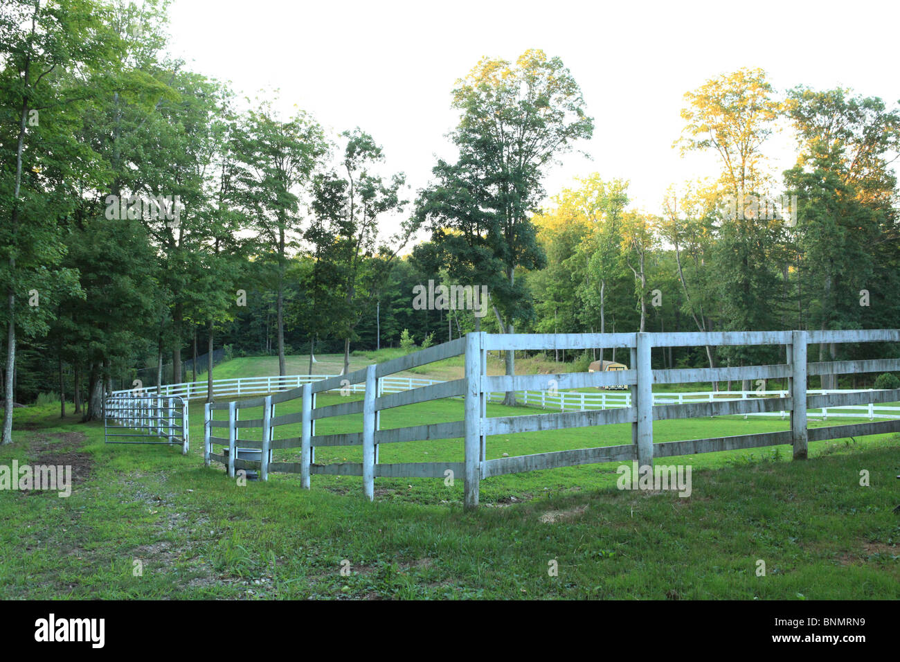 Horse by white fence hi-res stock photography and images - Alamy