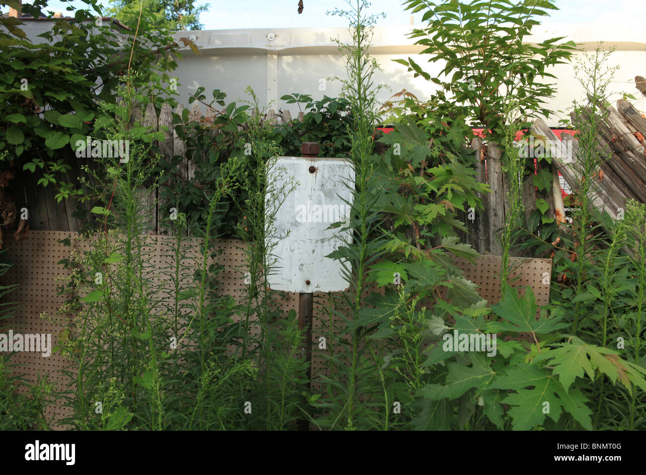 sign and weeds Stock Photo - Alamy