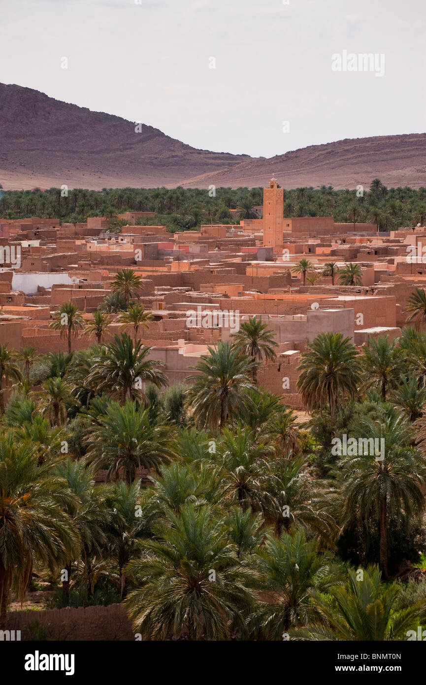 Figuig morocco oriental hi-res stock photography and images - Alamy