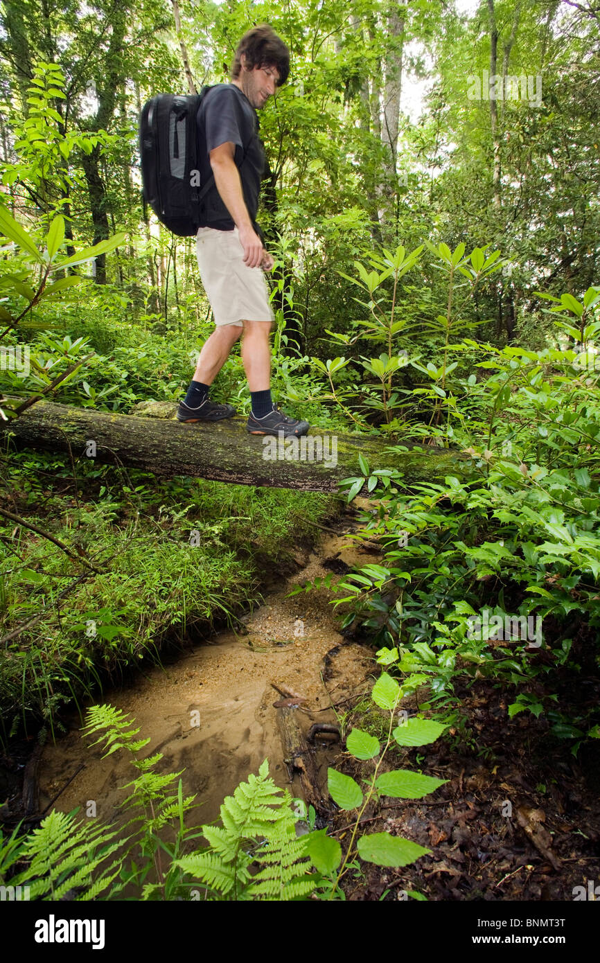 Hiker crossing tree fall - Brevard, North Carolina, USA Stock Photo - Alamy