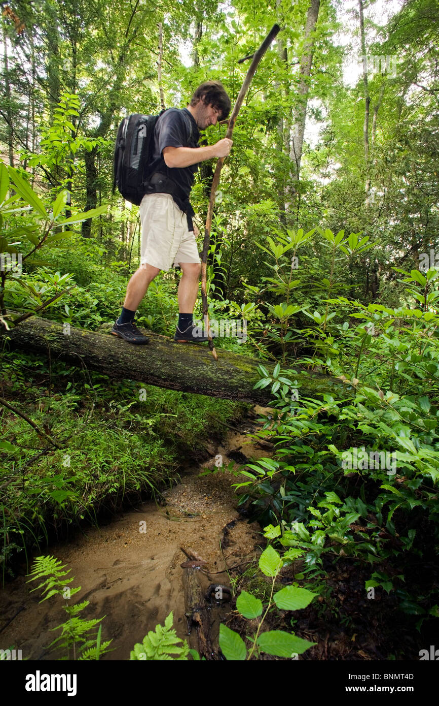 Hiker crossing tree fall - Brevard, North Carolina, USA Stock Photo - Alamy
