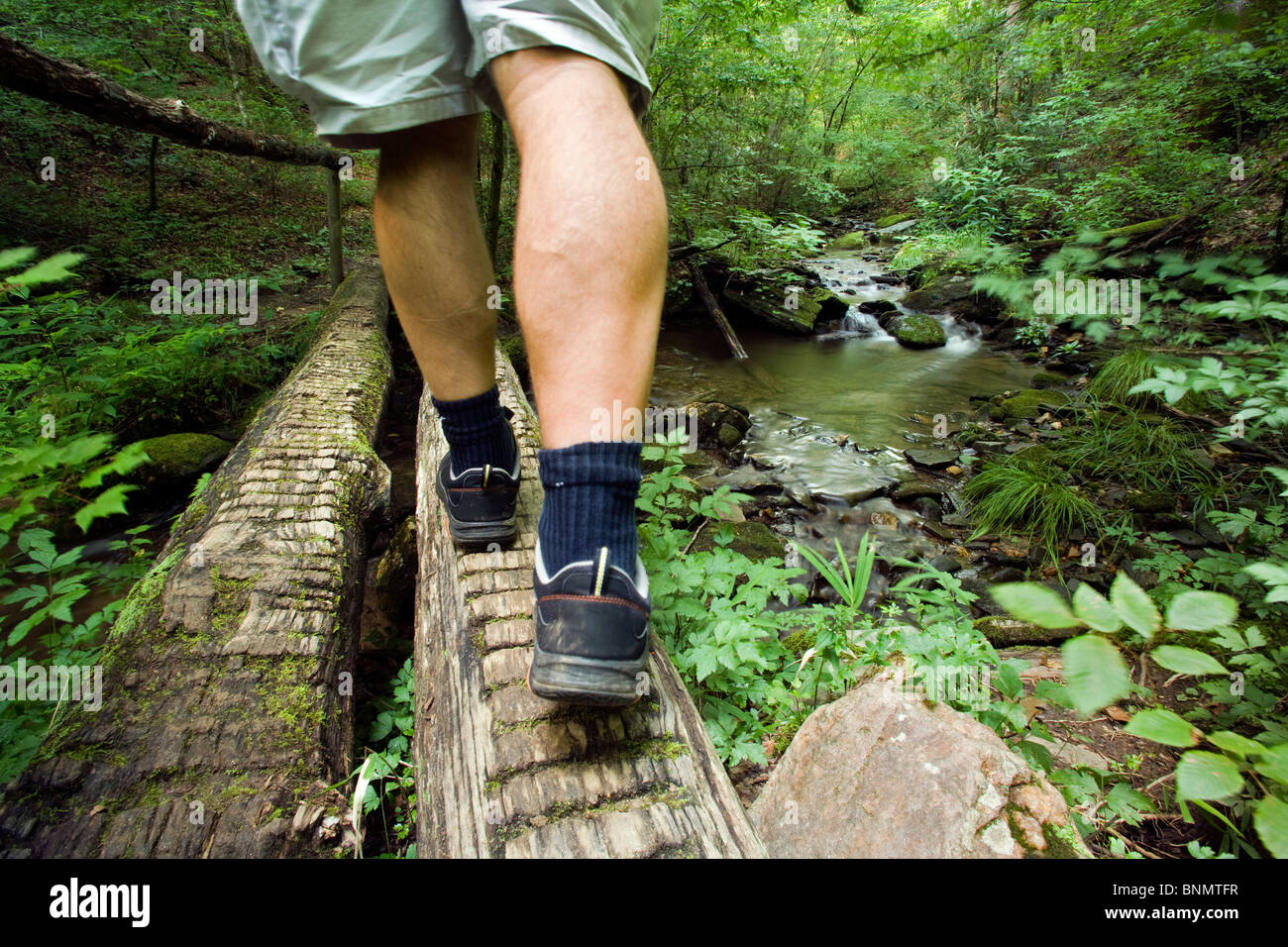 Log crossing stream hi-res stock photography and images - Alamy