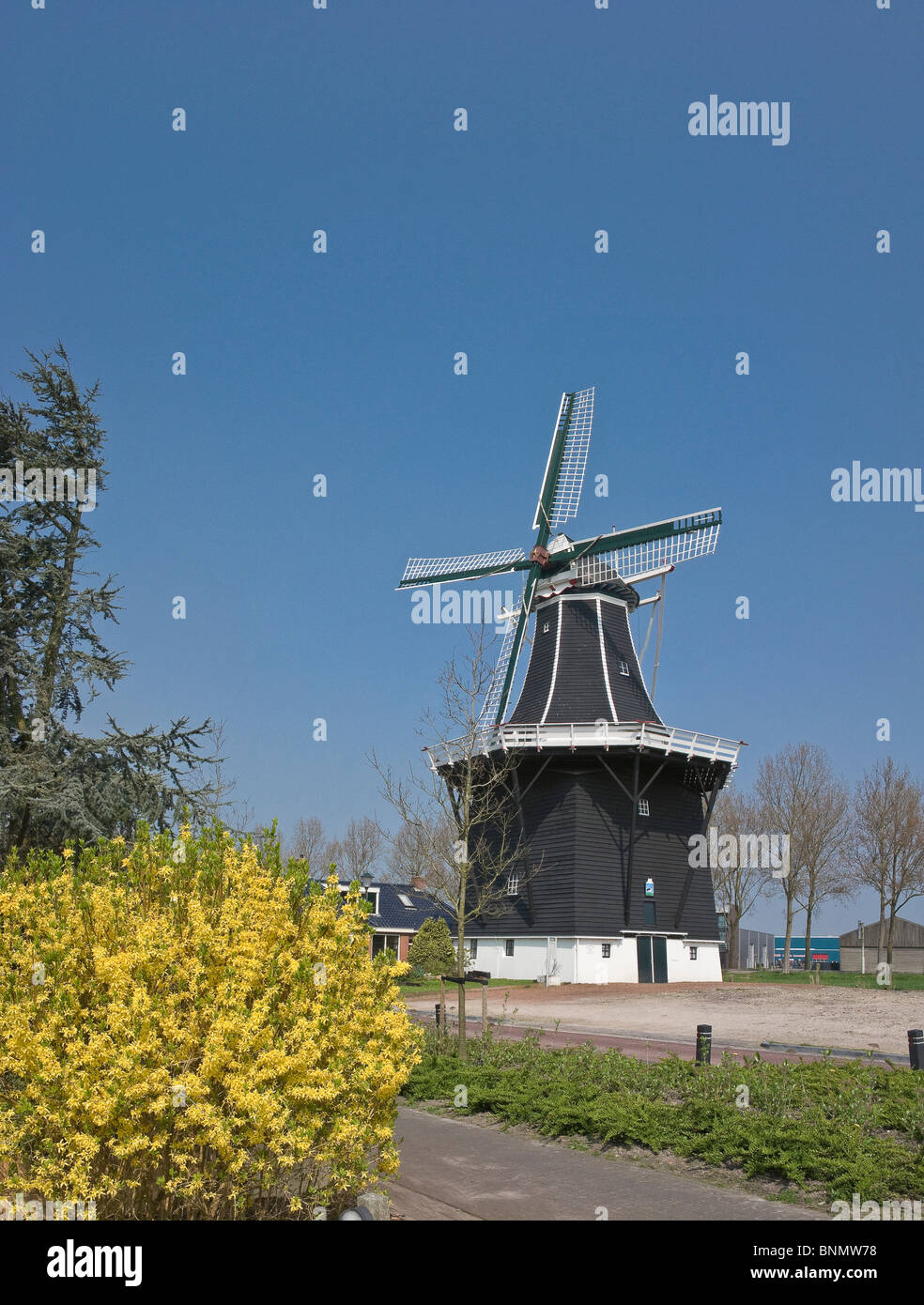 Netherlands Holland Groningen Grijpskerk Windmill Flowers Spring ...
