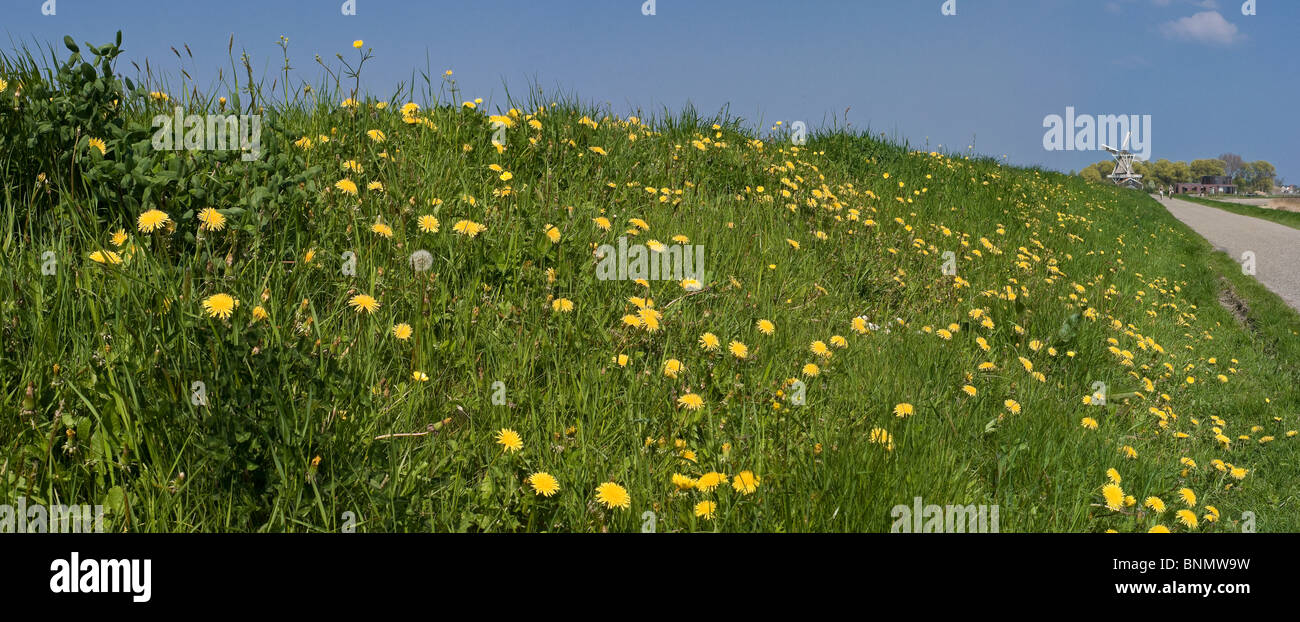 Anna dike hi-res stock photography and images - Alamy