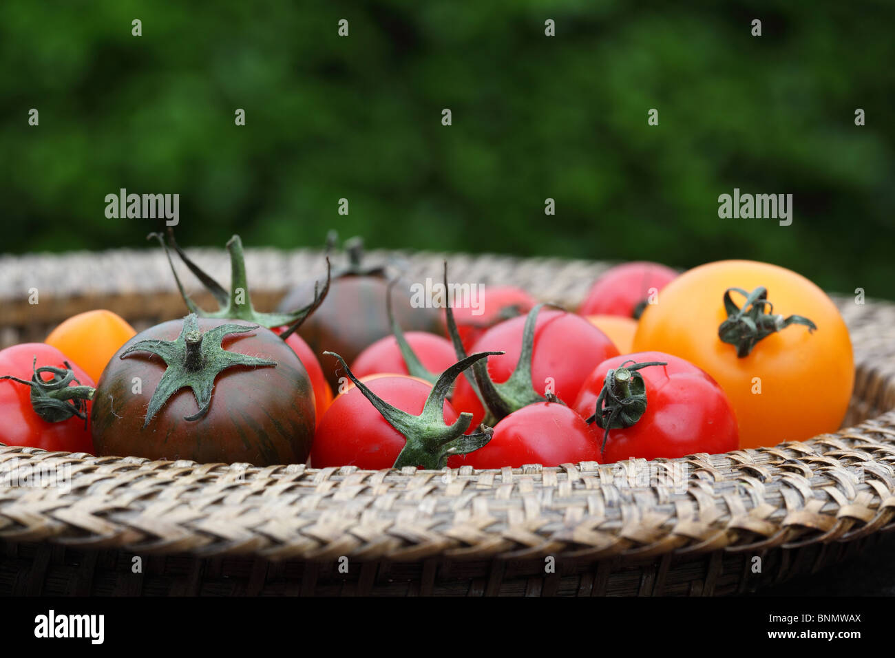 Fresh mix color tomatoes Stock Photo - Alamy