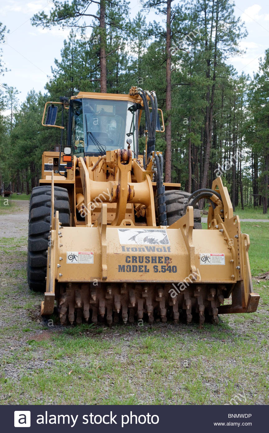 Cat Caterpillar High Resolution Stock Photography and Images - Alamy