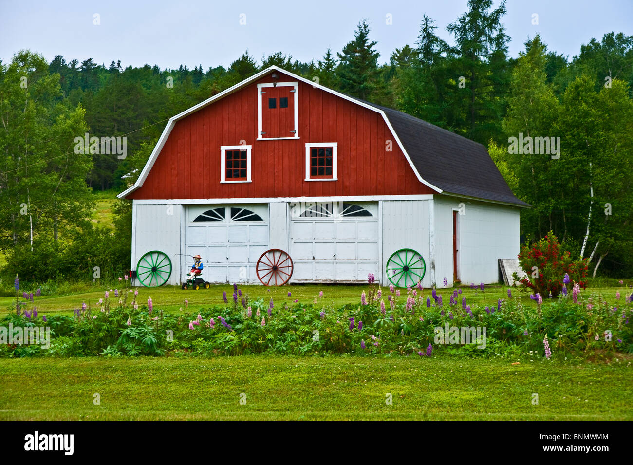 Farm yard hi-res stock photography and images - Alamy