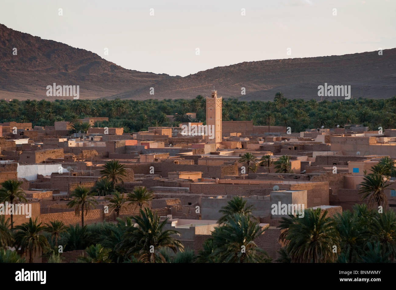Figuig morocco oriental hi-res stock photography and images - Alamy