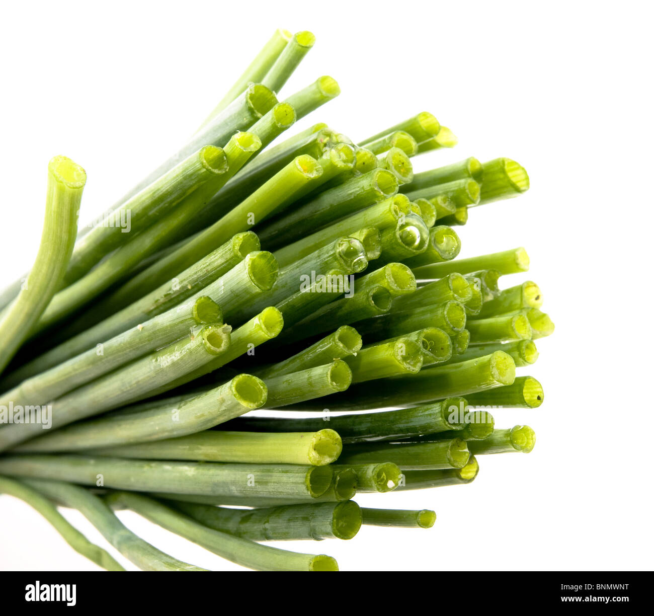 Closeup picture of fresh chives on white background Stock Photo - Alamy