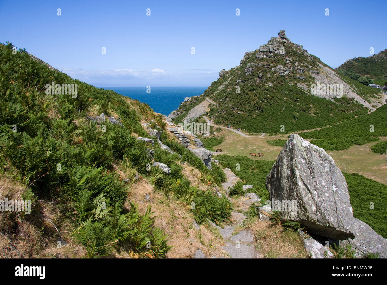 Valley of the rocks and Bristol channel. View from castle rock. Exmoor ...