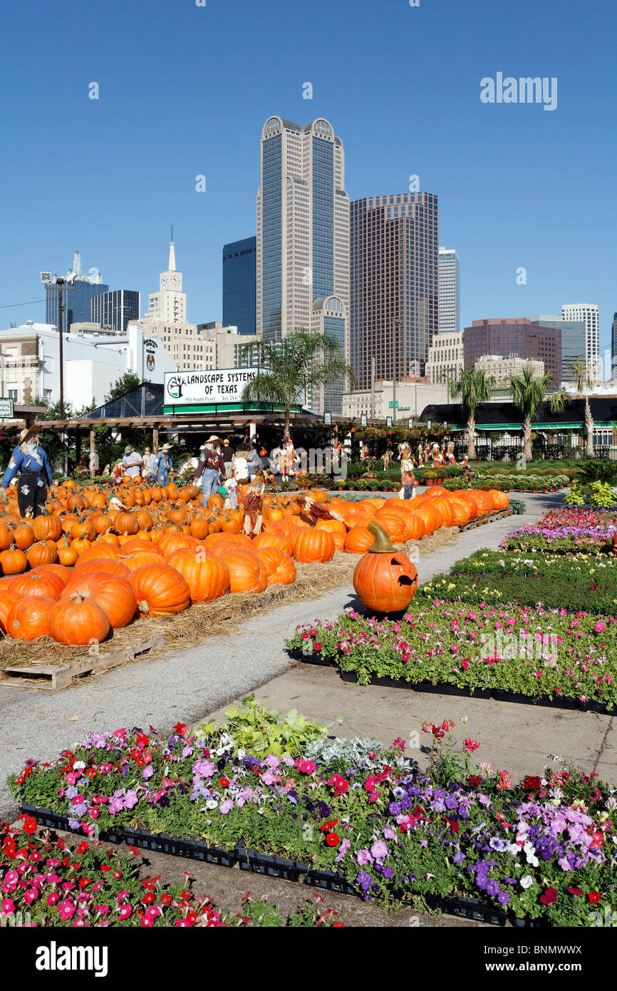 Texas dallas farmers market hi-res stock photography and images - Alamy