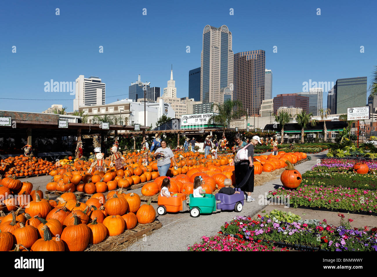 Farmers market dallas hi-res stock photography and images - Alamy