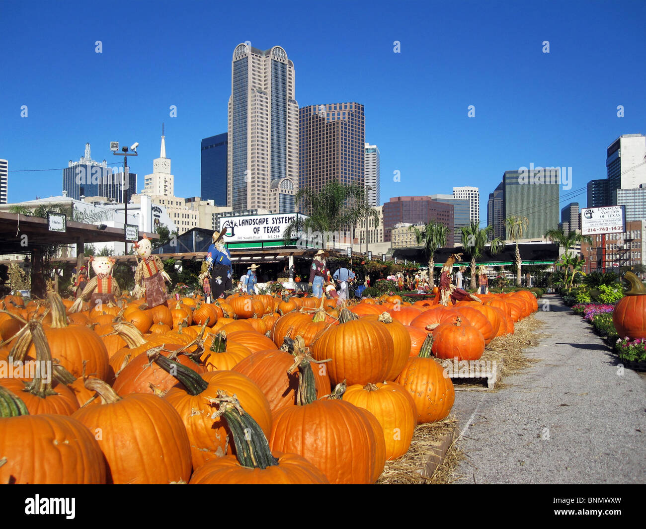 Farmers market dallas hi-res stock photography and images - Alamy