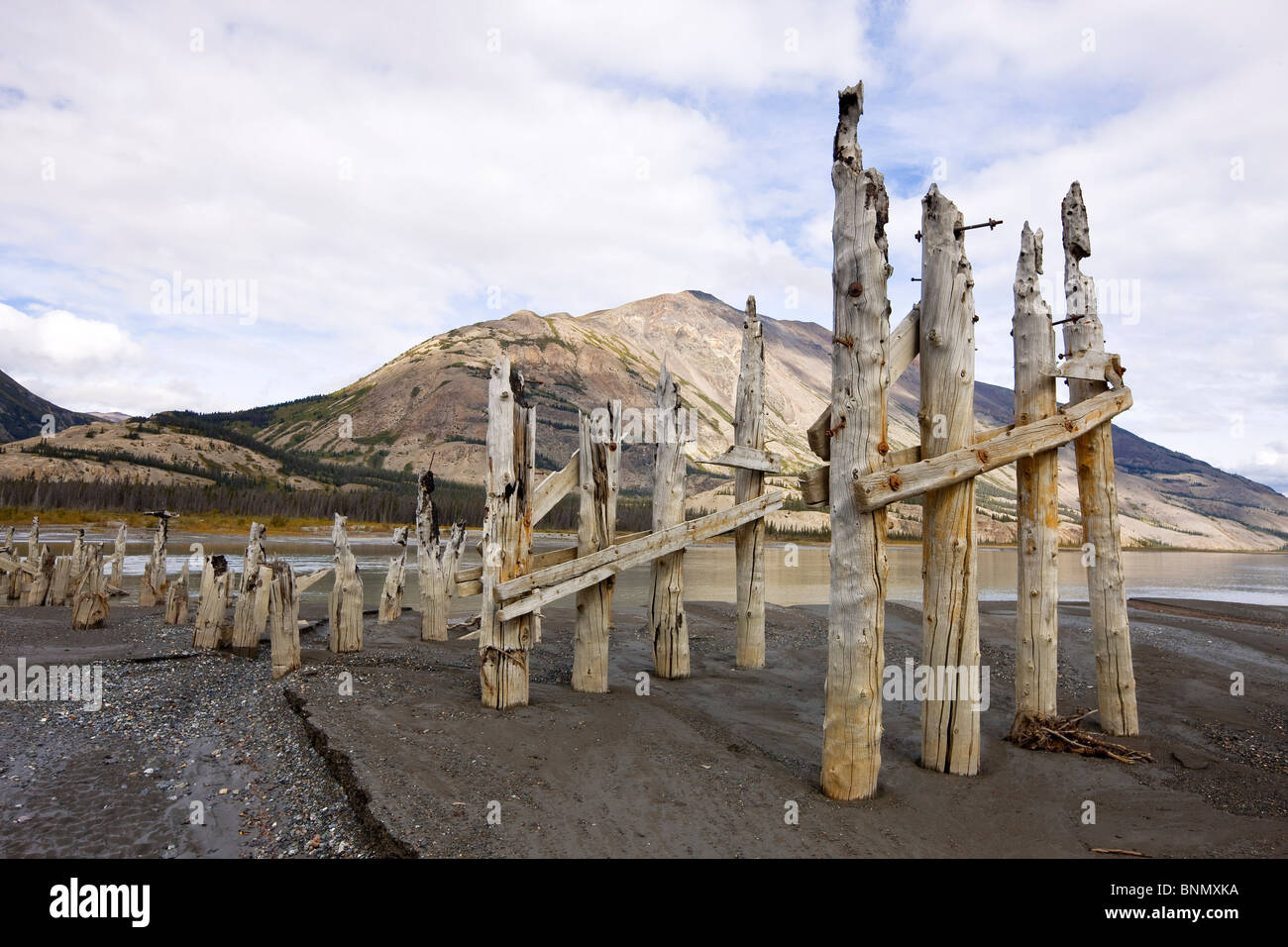 Pillings from the original Slims River Bridge with Sheep Mountain in ...