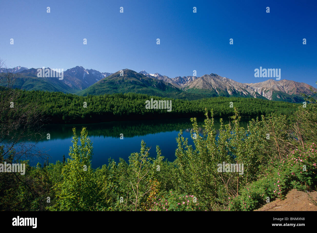 Mat su valley hi-res stock photography and images - Alamy