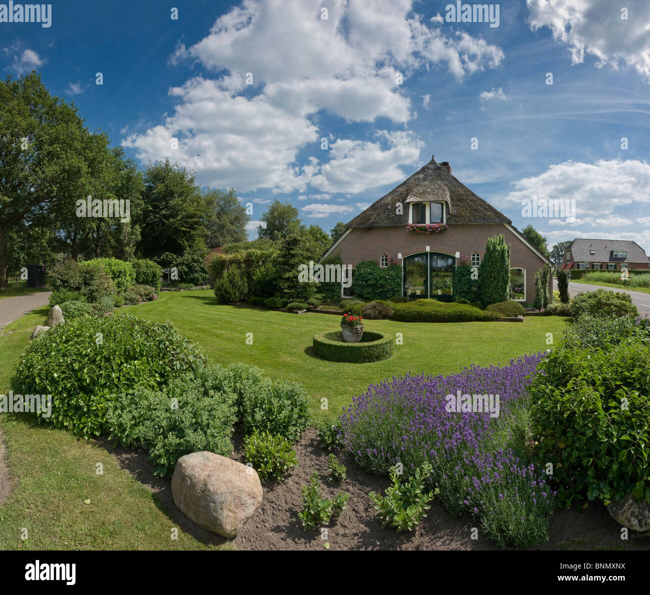 Netherlands Holland Overijssel Dijkerhoek Farm Flowers Summer panorama ...