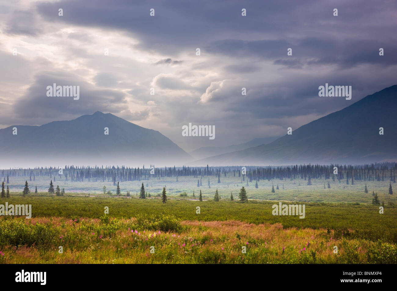 Atmospheric scenic of Broad Pass and boreal forest with smoke from ...
