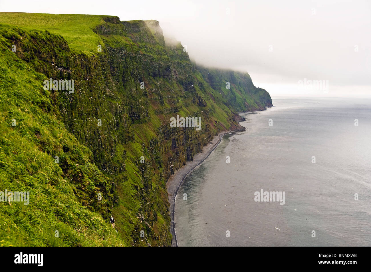 Scenic view of the cliffs near St. George, Pribilof Islands, Alaska ...