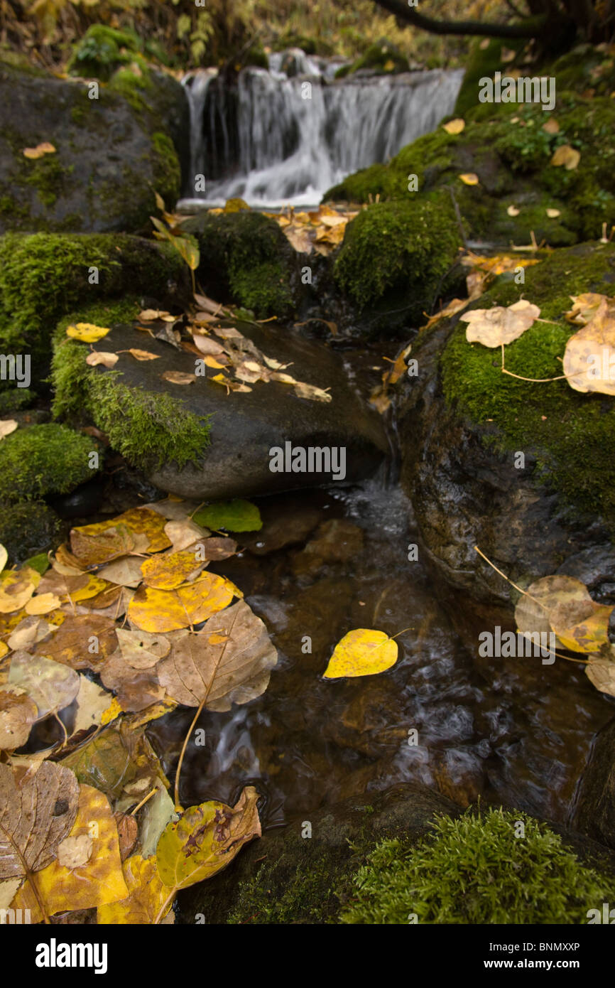 Falls Creek, Turnagain Arm, Alaska Stock Photo - Alamy