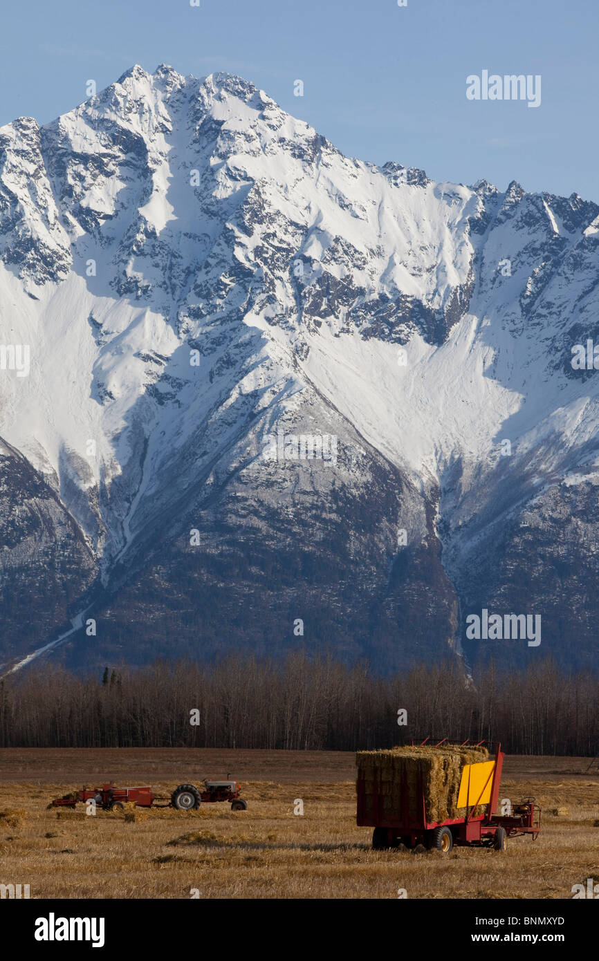 Alaska farming in matanuska valley hi-res stock photography and images ...