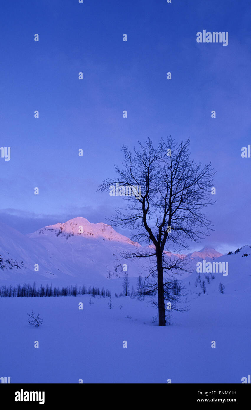 Skookum peak hi-res stock photography and images - Alamy