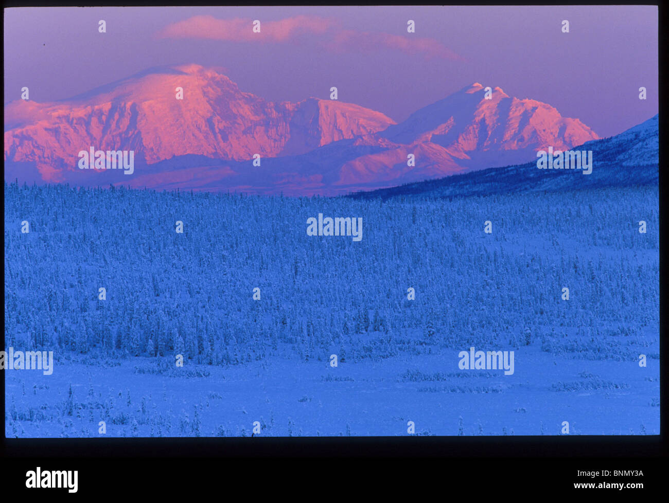 Wrangell st elias national park winter hi-res stock photography and ...