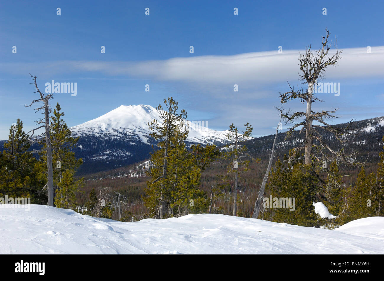 view Vista Butte to Mount Bachelor winter snow Cascade Mountain Range ...