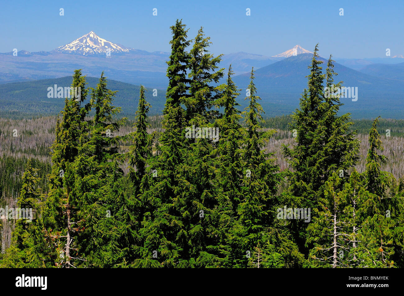 Deschutes National Forest Cascade Mountain Range Sisters Central Oregon ...