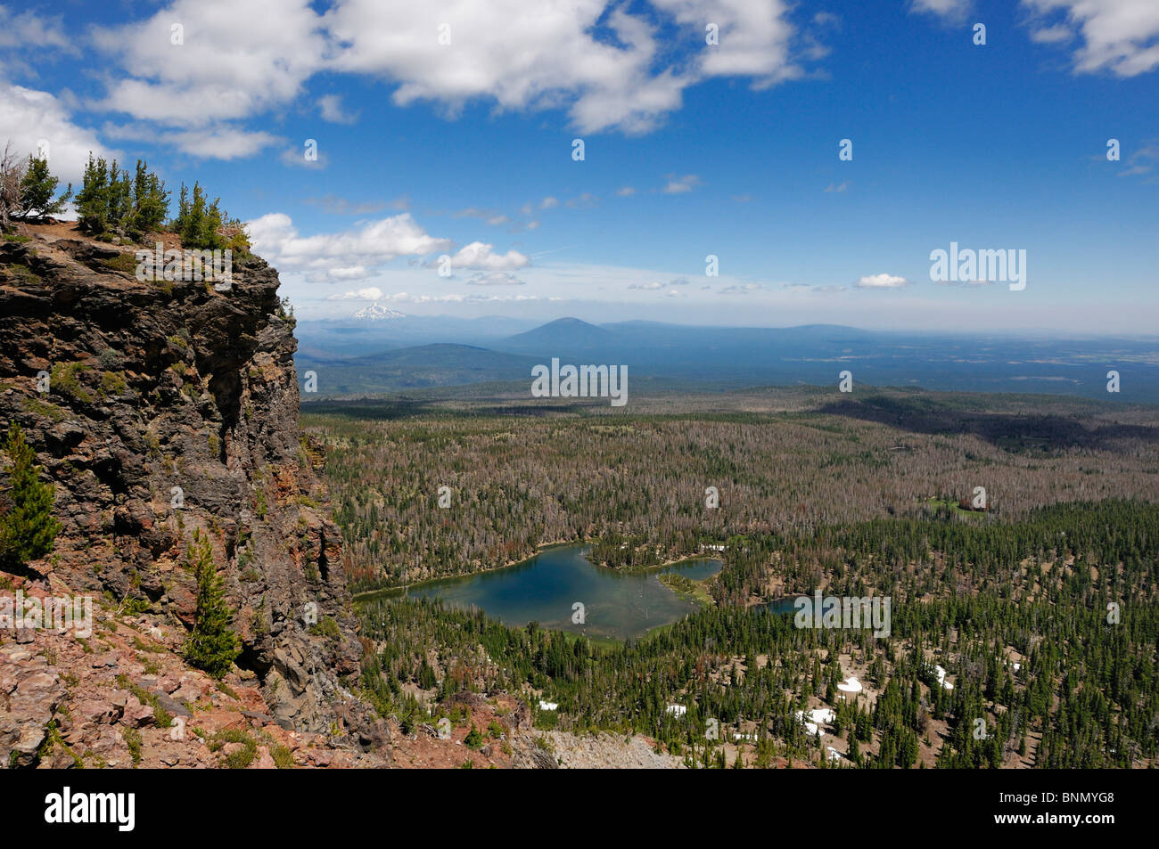 Tam mcarthur hi-res stock photography and images - Alamy