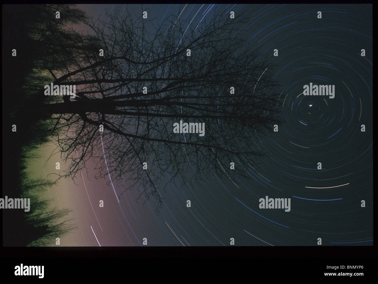 Northern star trails hi-res stock photography and images - Alamy