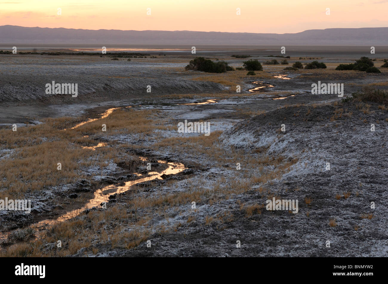 Alvord Desert Fields South Eastern Oregon Oregon USA creek Stock Photo ...